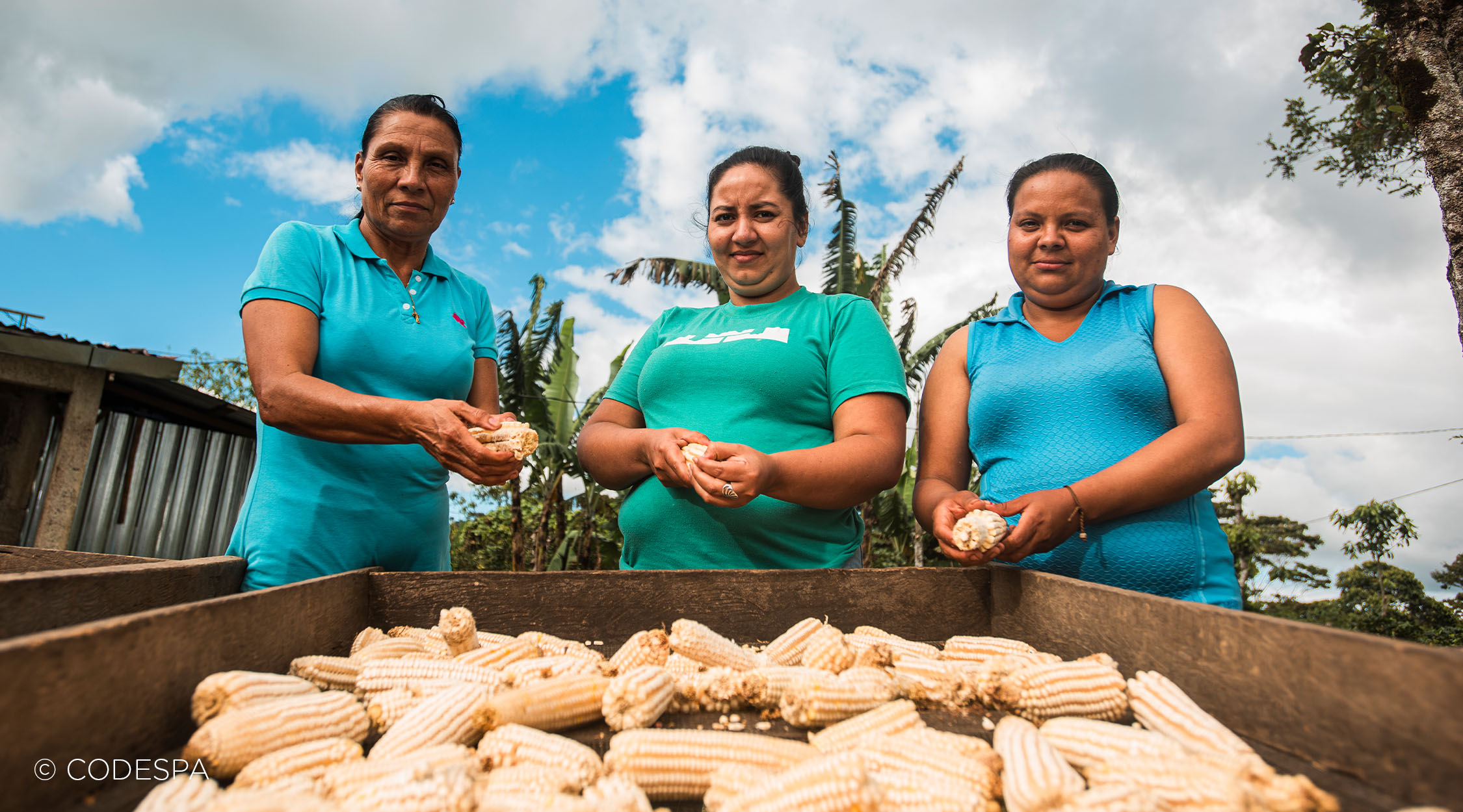 EntreTODOS: microfinanzas comunitarias que llevan oportunidades | CODESPA