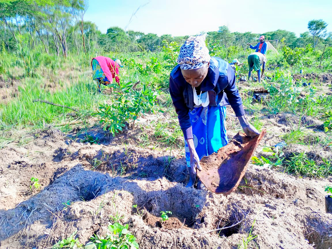 El futuro de Angola | CODESPA